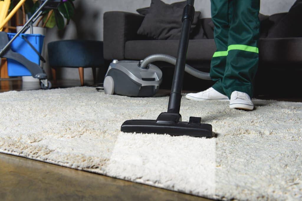 Expert Dry Carpet Cleaning Services | Zerodrytime